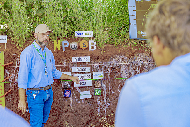 Biológicos: la clave para maximizar tu productividad - Agrofértil ...