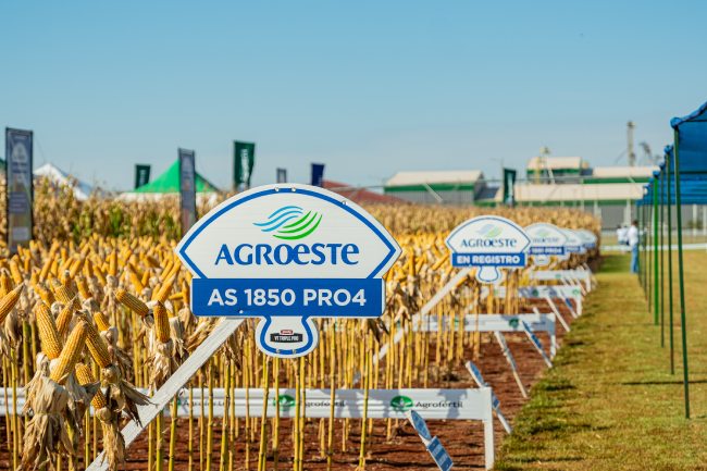 Agrofértil organizó con éxito su Encuentro Tecnológico de Maíz - Agrofértil - Prensa